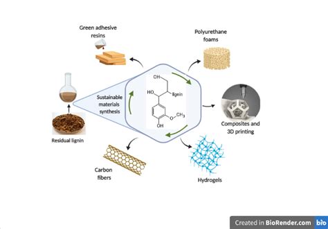 Lignin Biopolymer In Biomaterials Synthesis Encyclopedia Mdpi
