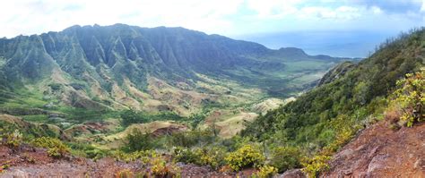 Returning From Mokuleʻia Forest Reserve Hawaiian Forest