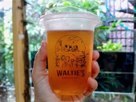 Review Walties Rooftop Cafe Rawamangun Dengan Tongseng Legendaris And View Nyaman