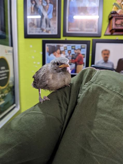 Kundan Singh Rajput On Linkedin Letsgrowmore Letsconnect Letsconnectwitheachother