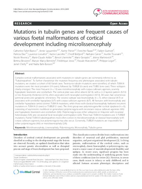 Pdf Frequent Tubulin Mutations Cause Fetal Cortical Malformations