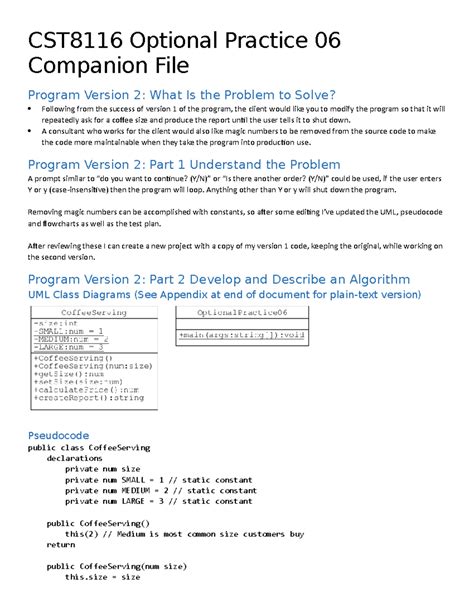 optional practice 06 companion file program version 2 a consultant