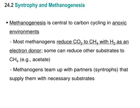 Ppt Nutrient Cycles Bioremediation And Symbioses Powerpoint Presentation Id 4633178