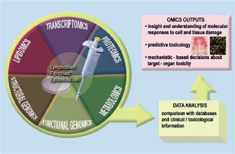 The Ability To Combine High Throughput Genomic Proteomic Metabolomic