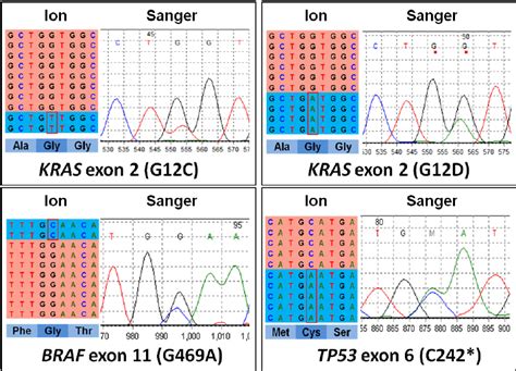 Representative Examples Of Validation By Sanger Sequencing Of Mutations Download Scientific