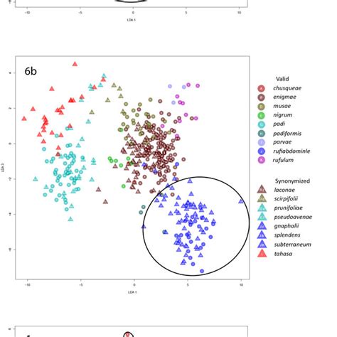 Graphs Of The Second Linear Discriminant Analysis Of Apterae