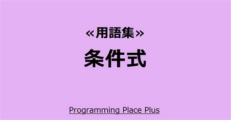 条件式 Programming Place Plus 用語集