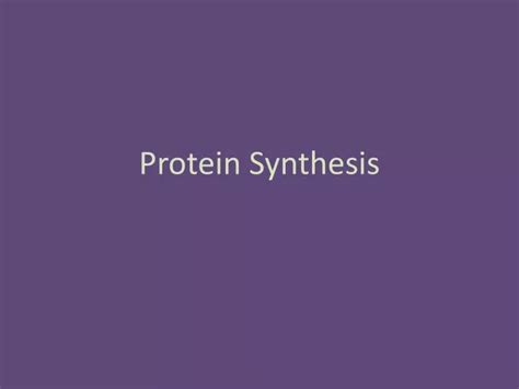 PPT Protein Synthesis PowerPoint Presentation Free Download ID