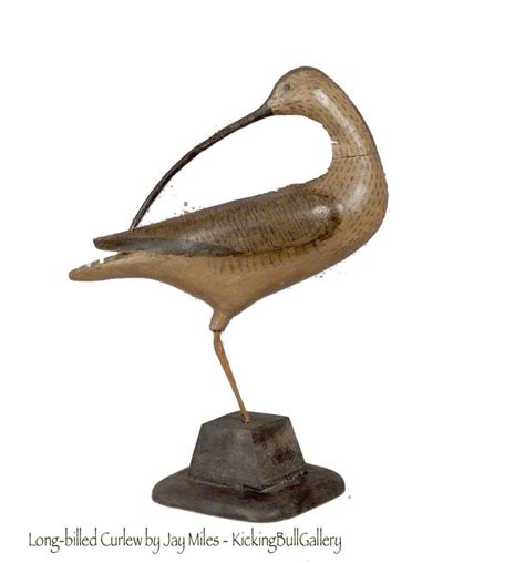 Long Billed Curlew Decoy 2 By Jay Miles Kicking Bull Gallery Bird