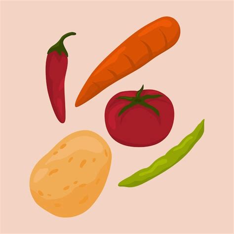 Premium Vector Illustration Of Vegetable Soup Ingredients