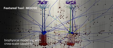 Neuroml — Neuroml Documentation