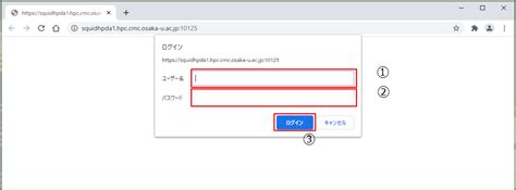 D3 Center The University Of Osaka Jupyter Notebook Usage Guide Squid