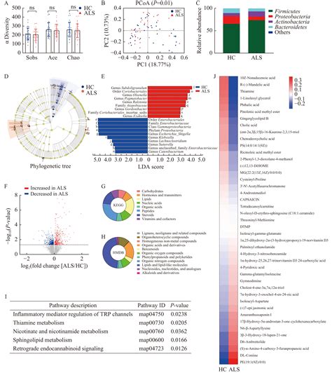 Gut Microbiota Links With Cognitive Impairment In Amyotrophic Lateral
