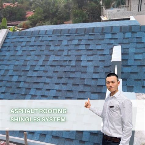 House Owner 30years Lifespan Roof Shingle South Korea Roof Shingles