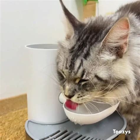 Aqua Bot® Teazys