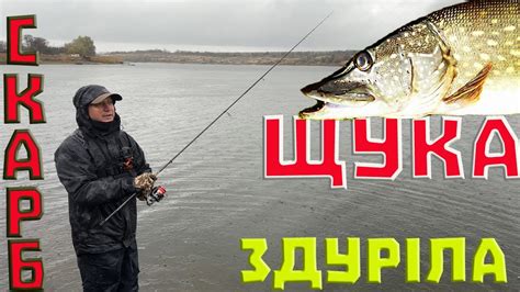 Як ЛОВИТИ ЩУКУ на річці Осіння рибалка на щуку Спінінг - YouTube