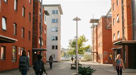 University Quays University Of Essex