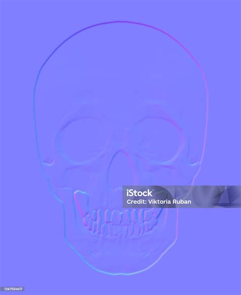 인간의 해부학 두개골의 정상적인지도 컴퓨터 생성 이미지 3d 렌더링 0명에 대한 스톡 사진 및 기타 이미지 0명 3차원