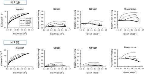 Ingestion Rates And Fate Of Ingested Bacterial C N P Biomass During