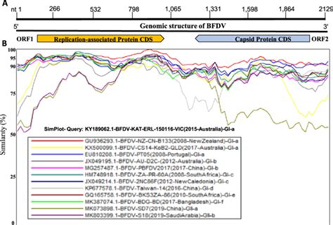 Similarity Map Of The Complete Genome Sequences Of Representative