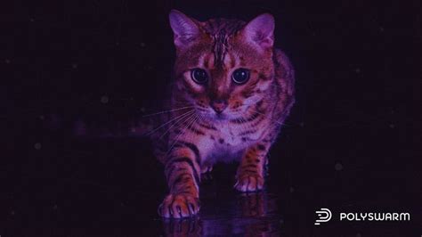 Catb Ransomware