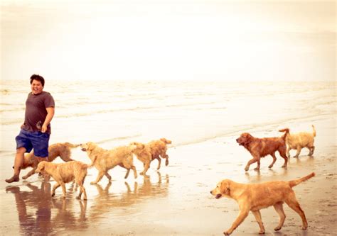 How Much Does It Cost To Desex A Male Dog Nz