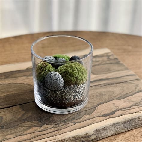 로우핸드 트롤 비기너용 이끼테라리움 만들기 테라리움 키트 Diy 원예활동 비단이끼 위시버킷