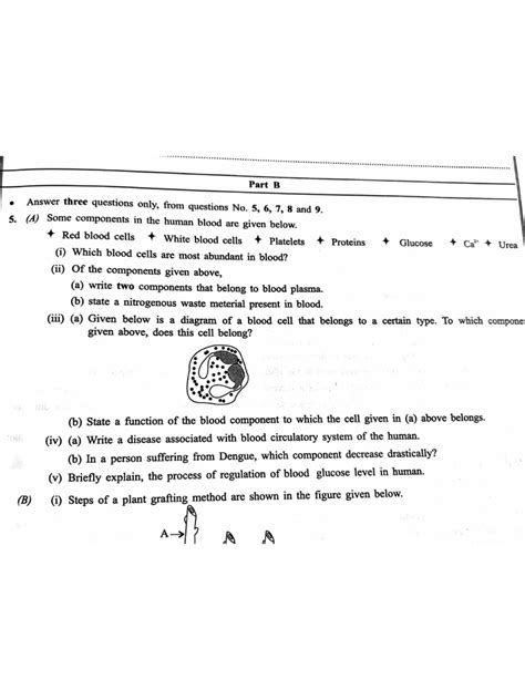 systems pdf