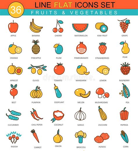 Vector Fruits And Vegetables Flat Line Icon Set Modern Elegant Style