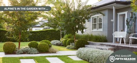 In The Garden With Phil Antcliff Alpine Nurseries