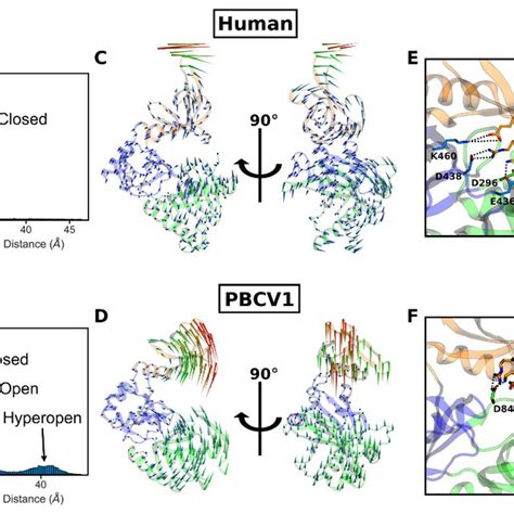 scaf8 promotes transcript elongation a schematic of drb tt seq to