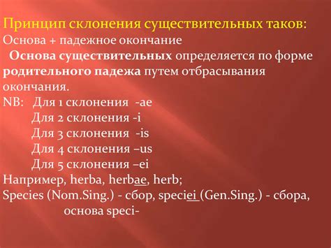 Склонение имён существительных в латинском языке презентация онлайн