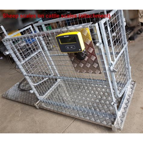 Cattle Weighing Scales
