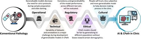 Domain Generalization In Computational Pathology Survey And Guidelines