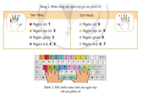 Em đọc bảng phân công các ngón tay gõ các phím như ở Bảng 1 Em xác