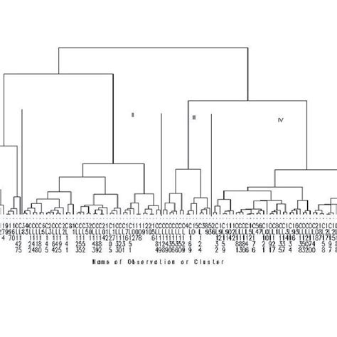 Dendrogram Of M Falcata Wards Algorithm Measured Characters