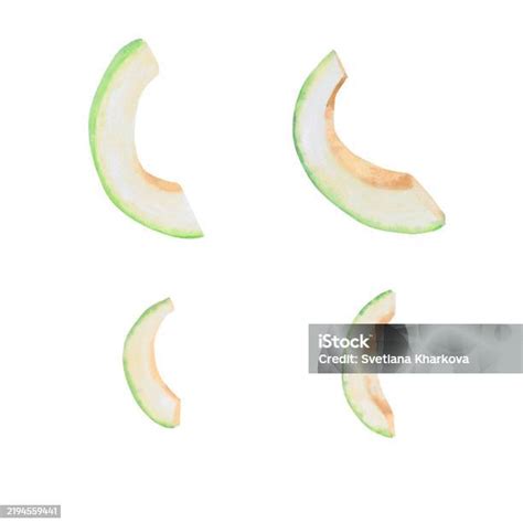 수채화 그림에 아보카도 조각의 세트 요리책 디자인 잡지 메뉴 레스토랑 및 카페 디자인을 위한 고립된 음식 테마 이미지 개체 그룹에 대한 스톡 벡터 아트 및 기타 이미지