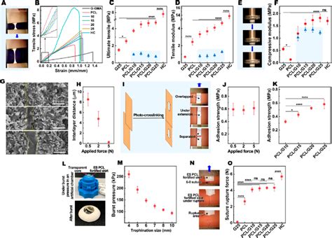 a experimental setup for measuring the tensile modulus b