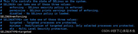 Linux Selinux讲解 Csdn博客