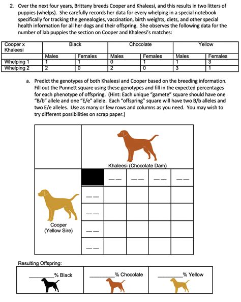 Solved Lab 7 Inheritance Of Coat Color In Labrador