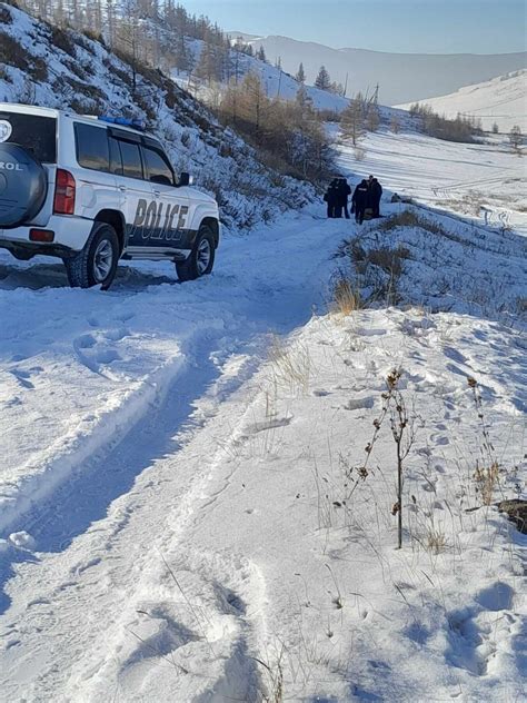 Хоёр толгой буга төмөр замын хамгаалалтын хашааг давж орсноор галт