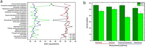 a gc content and codon usage bias variation among unigenes with