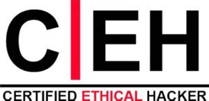What Is CEH SOLUTECSA