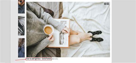 Adding Lightbox To Wordpress Site Ultimate Guide For Beginners