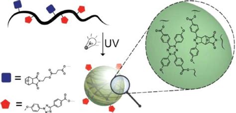Scnp Formation Via Photoinduced Nitec Using Polymers Containing