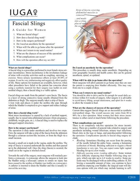 Leaflets Your Pelvic Floor