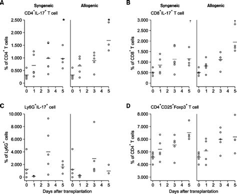 Flow Cytometric Analysis Of Splenocytes After Syngeneic Or Allogeneic