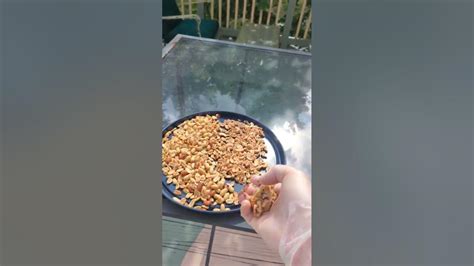 Cookiedough Nut Originalrecipe Food Baking