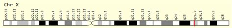 Frmd7 Gene Genecards Frmd7 Protein Frmd7 Antibody