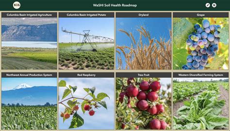 Jadey Ryan WaSHI Soil Health Roadmap